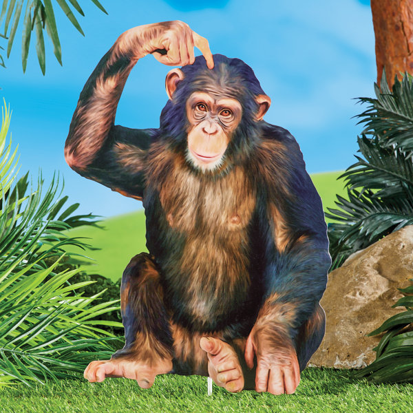 Winston Brands Realistic Sitting Chimp Garden Art | Wayfair