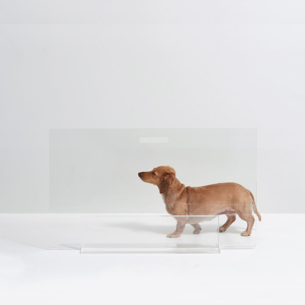 Hiddin Low Clear Pet Gate Panel | Wayfair