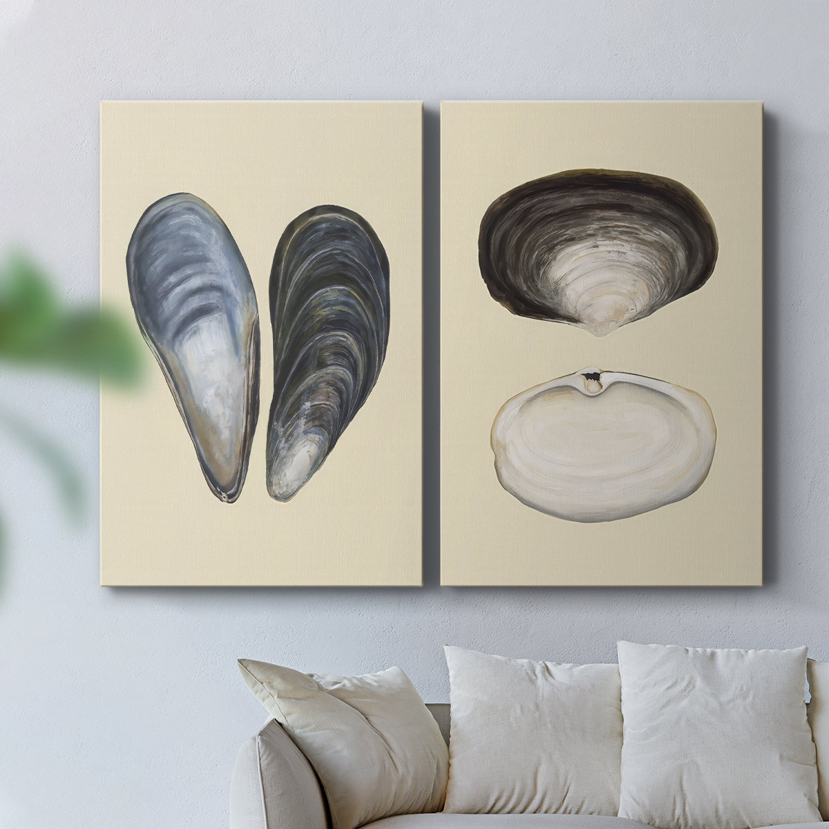 Wexford Home Bivalve Shells I-Premium Gallery Wrapped Canvas -Ready to ...