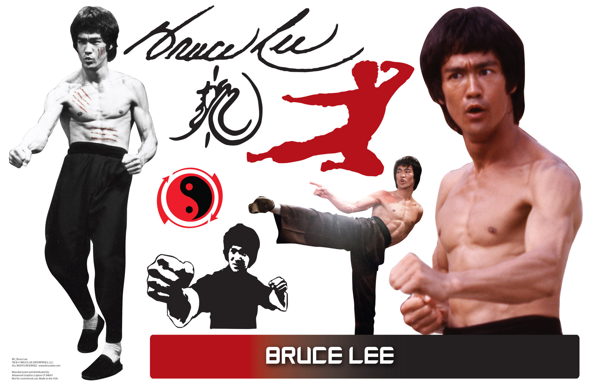 Advanced Graphics Bruce Lee Wall Decal | Wayfair