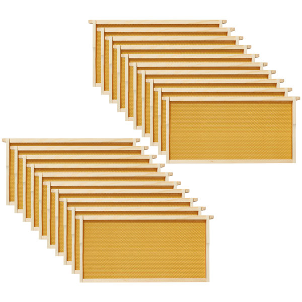 Arlmont & Co. Complete Beehive Kit, Painted and Assembled with 10 ...