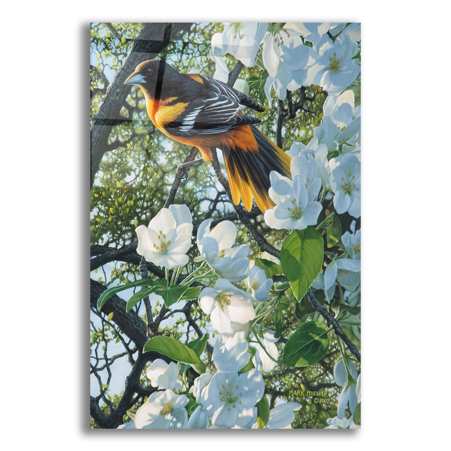 Red Barrel Studio 'Midmorning Breeze - Baltimore Oriole' by Mark ...