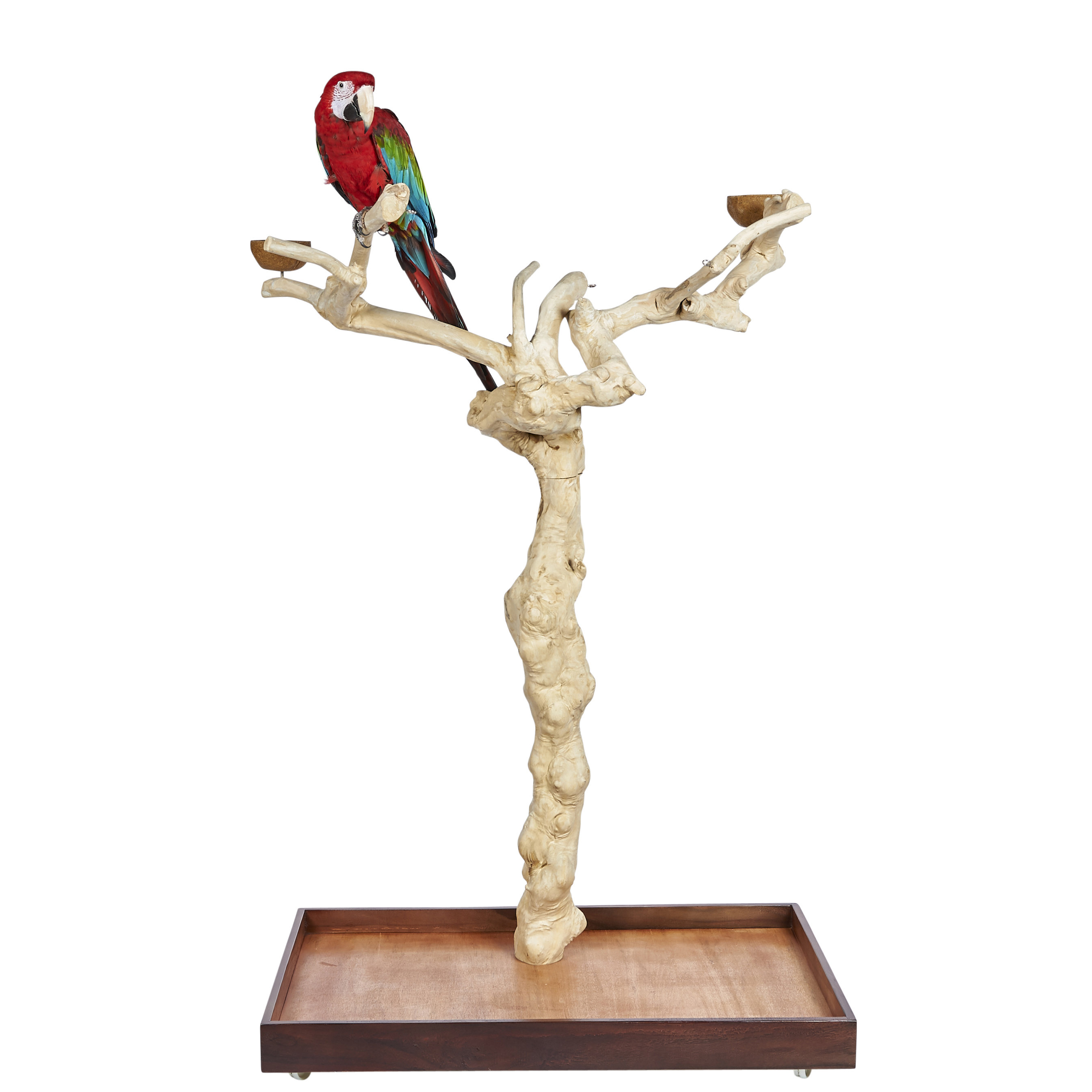 Archie & Oscar Violetta 150cm Wood Bird Play Stand | Wayfair.co.uk