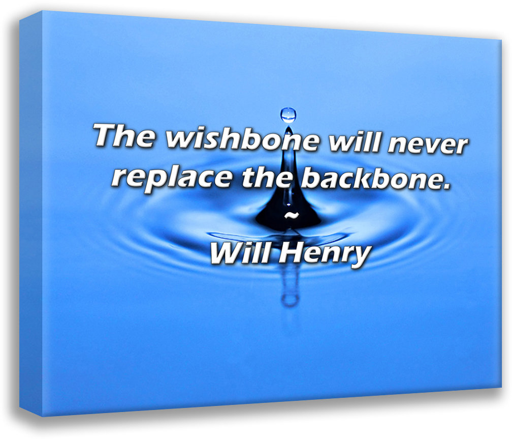 Trinx Will Henry Quote: The wishbone will never replace the backbone ...