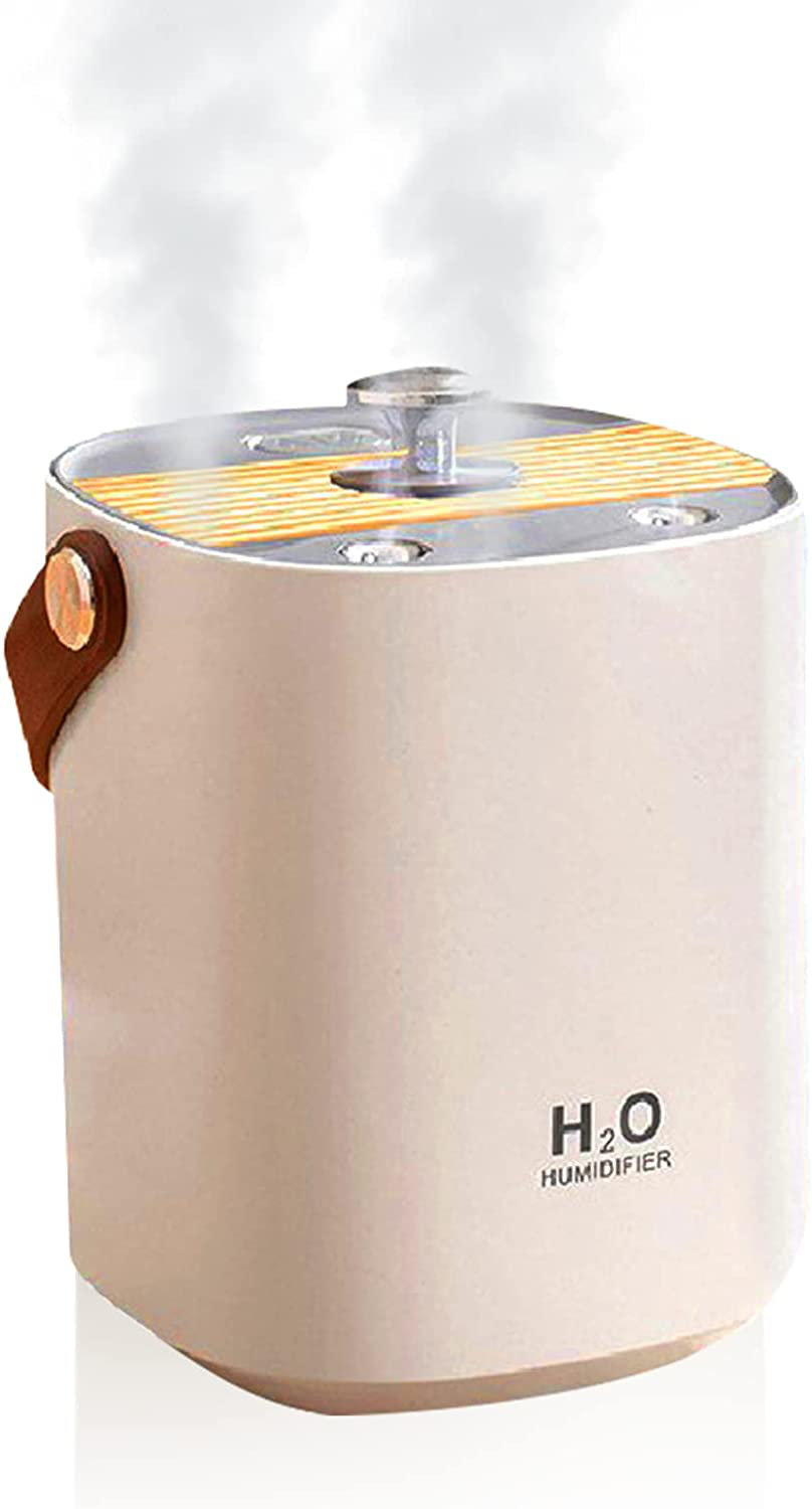 c&g home HGV New Double Spray Silent Portable Humidifier Home Fog ...