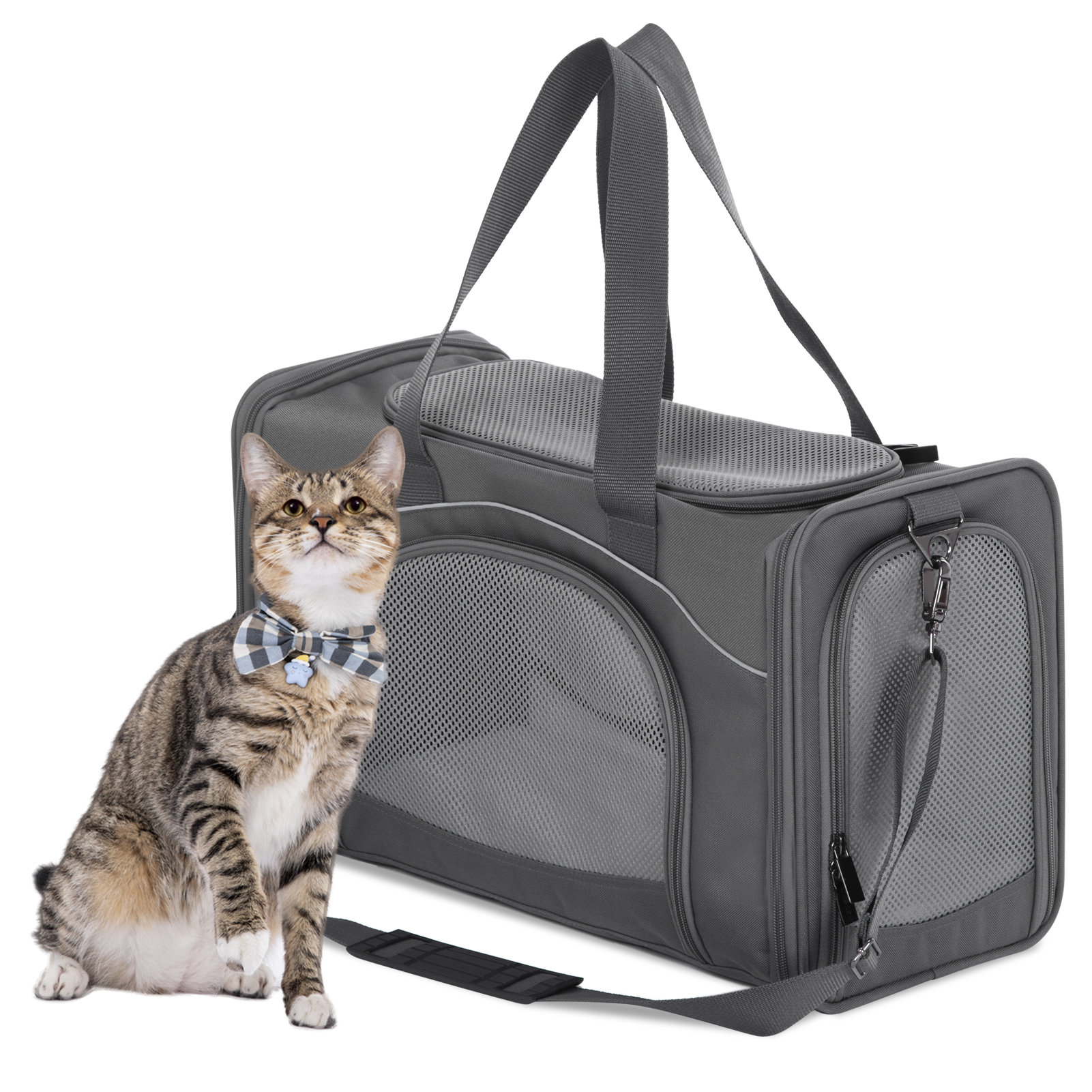 Tucker Murphy Pet™ Two-Way Placement Pet Carrier - Wayfair Canada