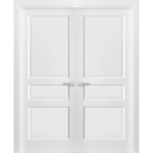 SARTODOORS Paneled Wood Lucia Standard Door | Wayfair