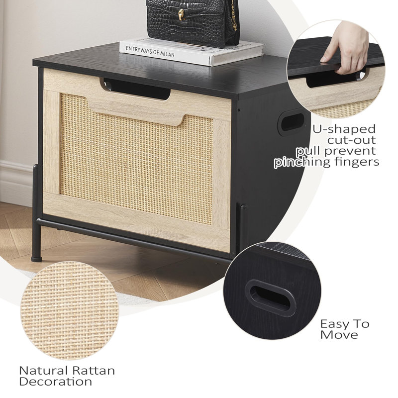 Bayou Breeze Azaya Storage Bench | Wayfair