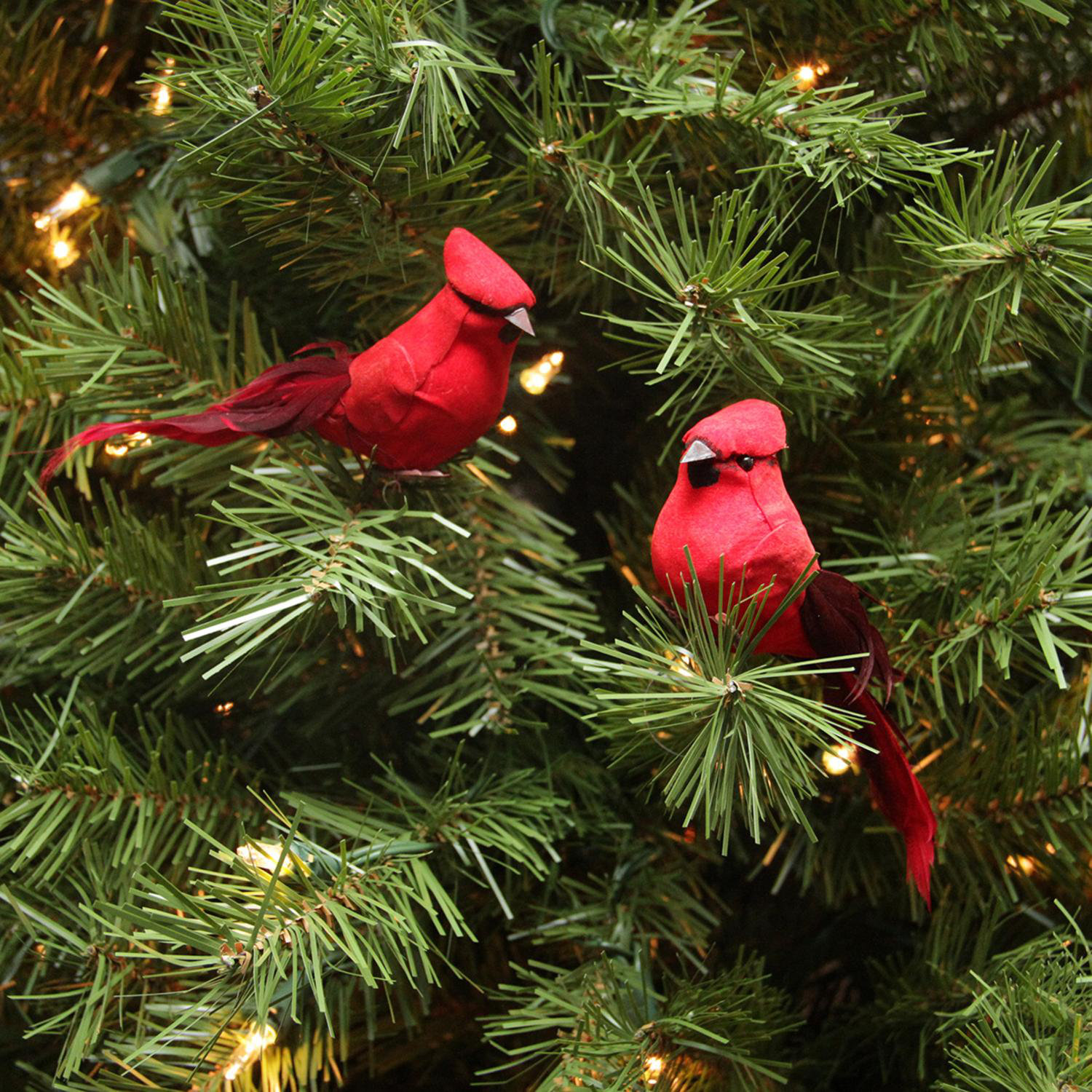 Northlight Seasonal Pack of 12 Crimson Red Bird Christmas Ornaments 5 ...