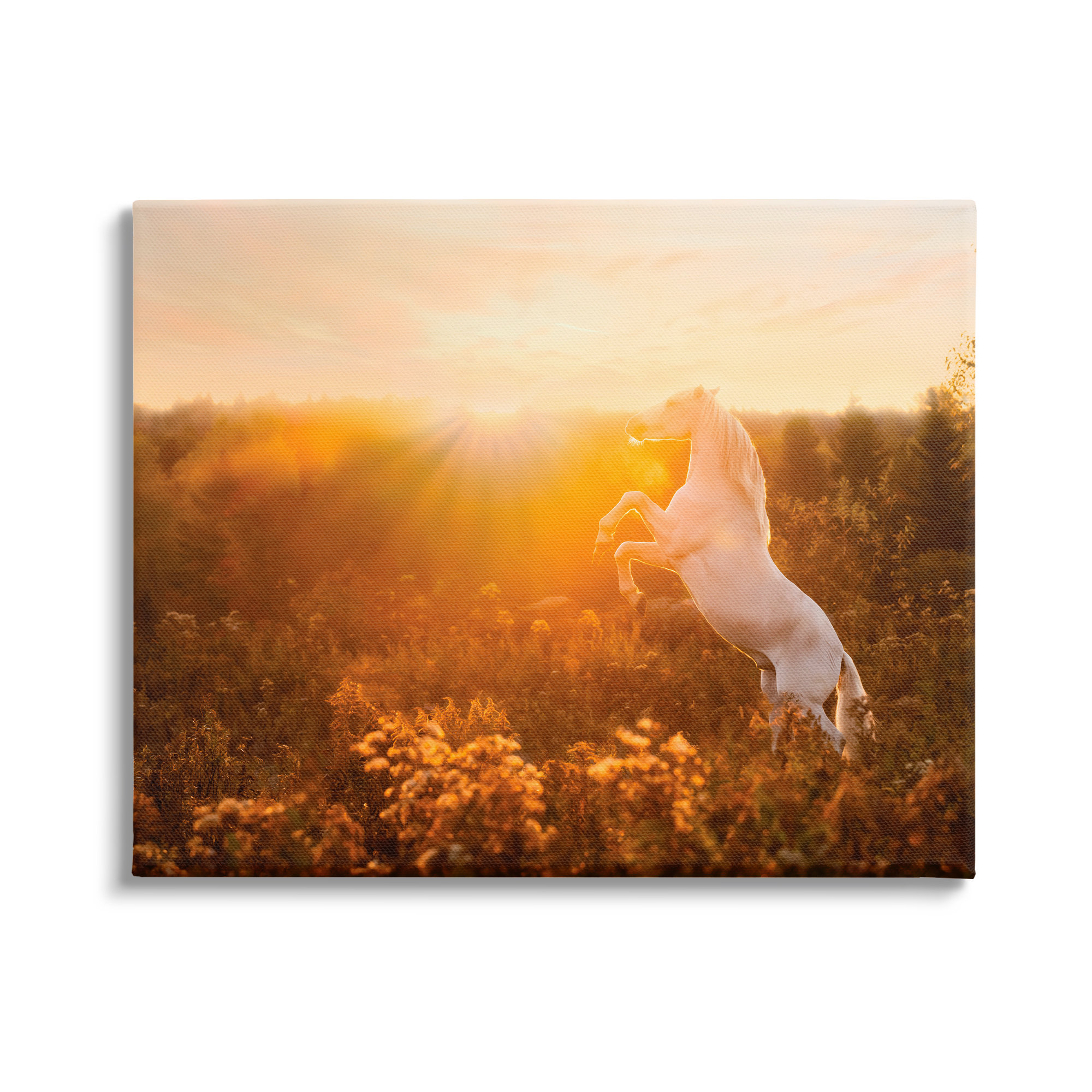 Union Rustic Standing Horse in Rising Sun Canvas Wall Art by PHBurchett ...