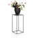 17 Stories Emreigh Plant Stand | Wayfair.co.uk
