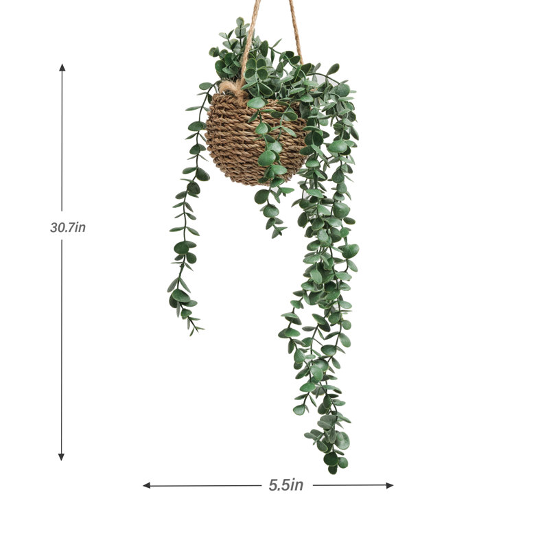 Primrue 30'' Faux Ivy Topiary in Rattan Basket & Reviews | Wayfair
