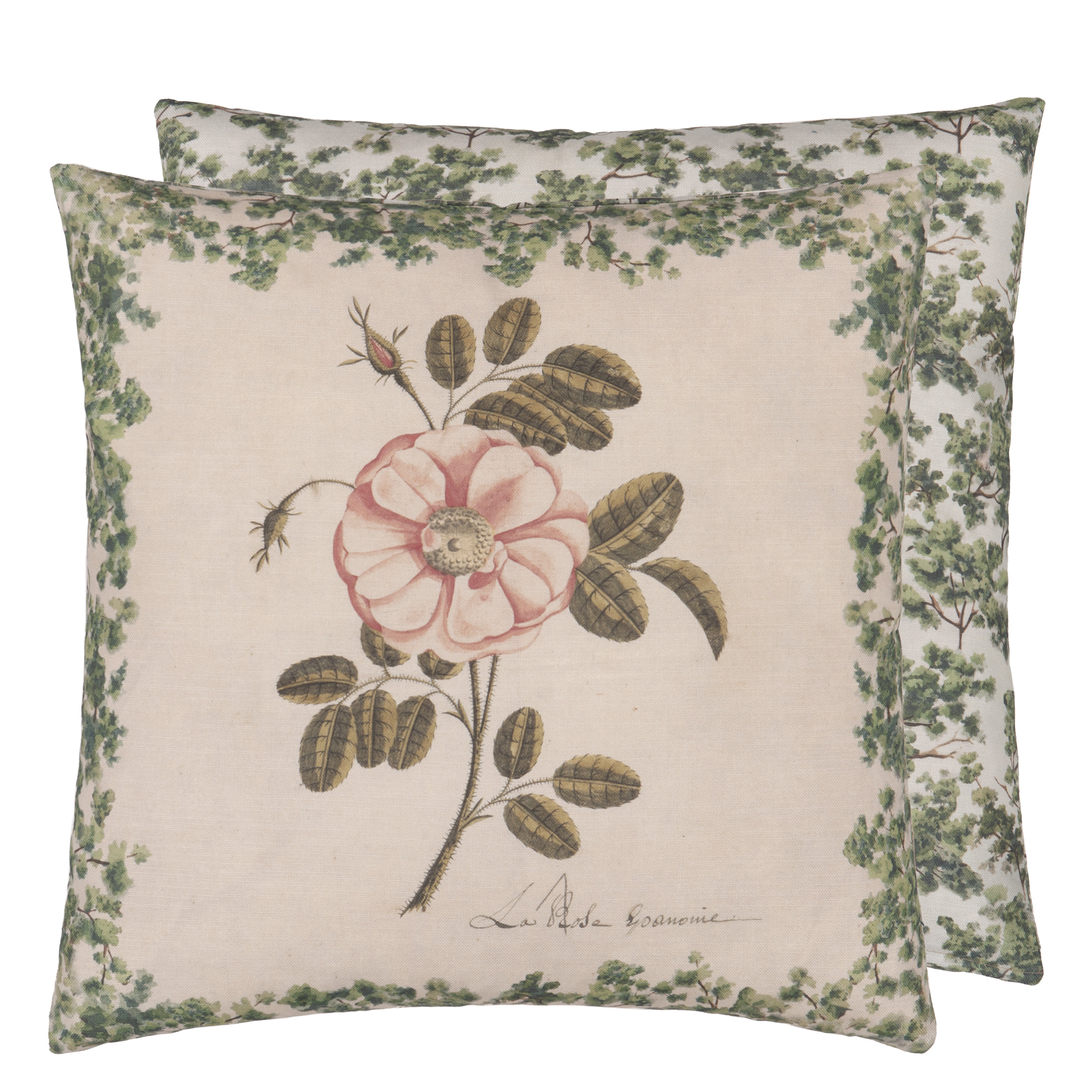 John Derian La Rose Rose Decorative Pillow | Perigold