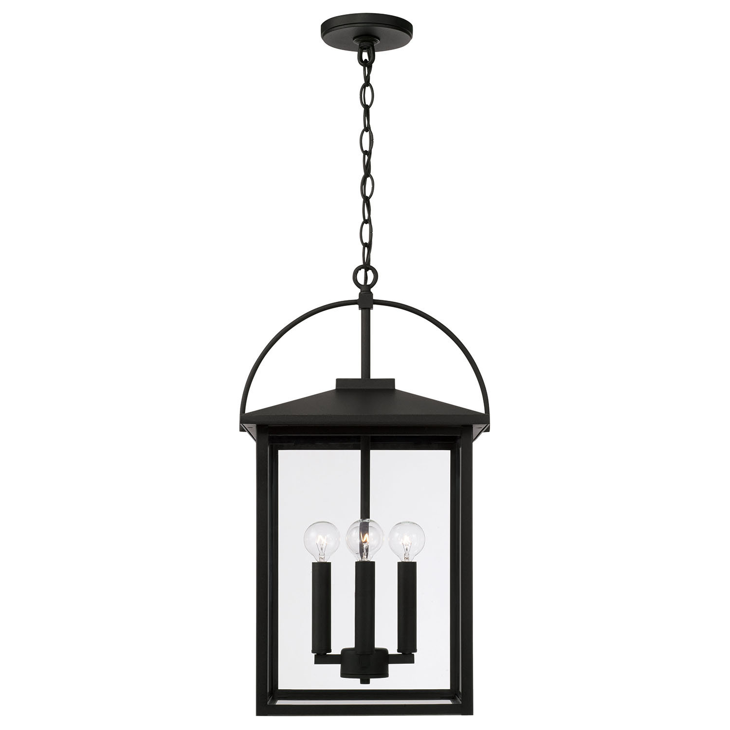 Gracie Oaks 13.25"W x 23.5"H 4-Light Outdoor Hanging Lantern in Black ...