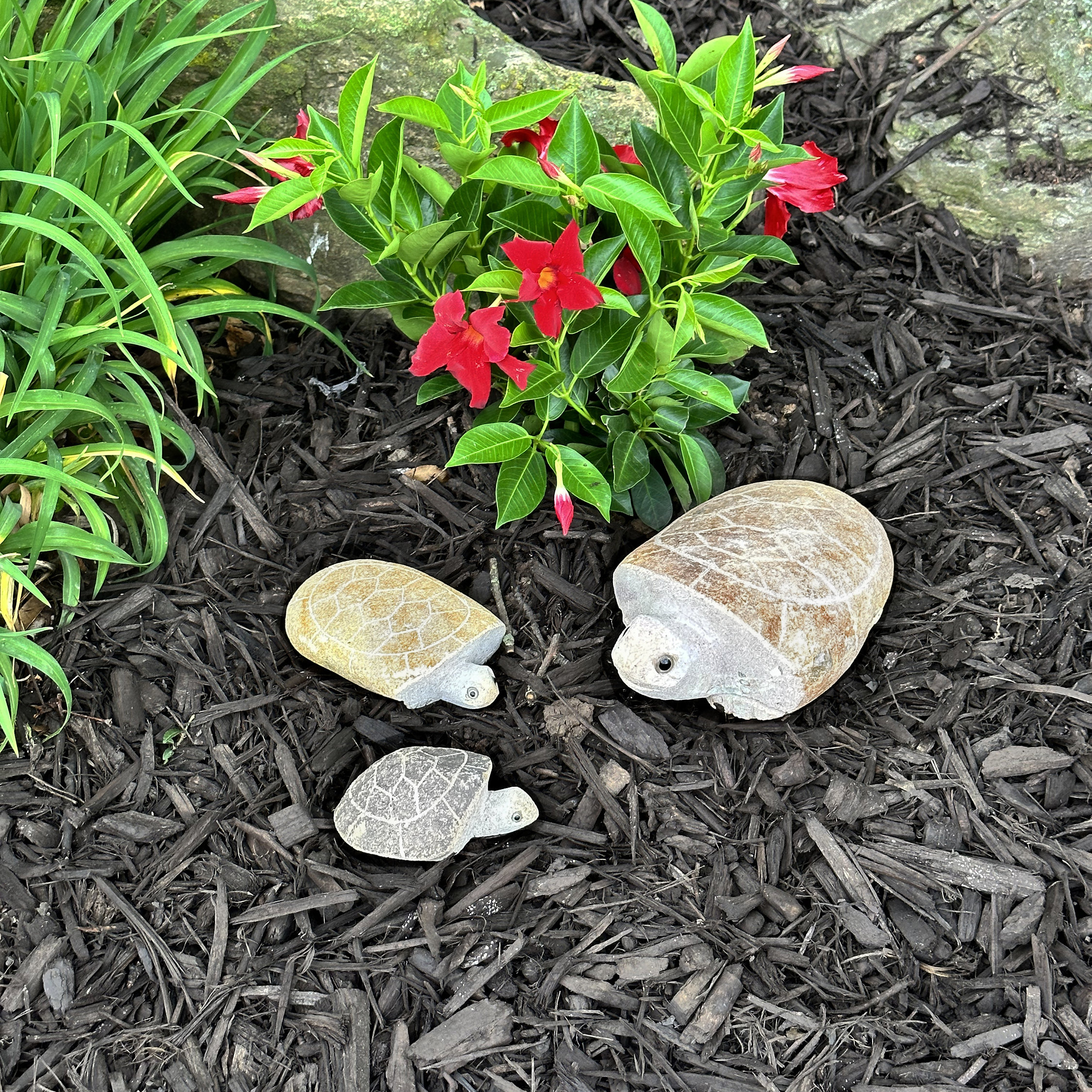 Arlmont & Co. Stone Age Creations Family of Boulder Turtles 3 Pcs 4" 6 ...
