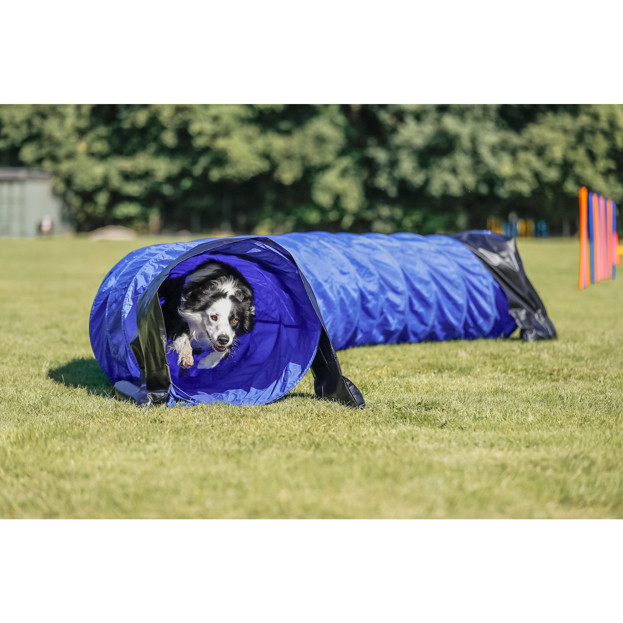 TRIXIE Dog Agility Tunnel 16.5' Portable Dog Agility Training Tunnel ...