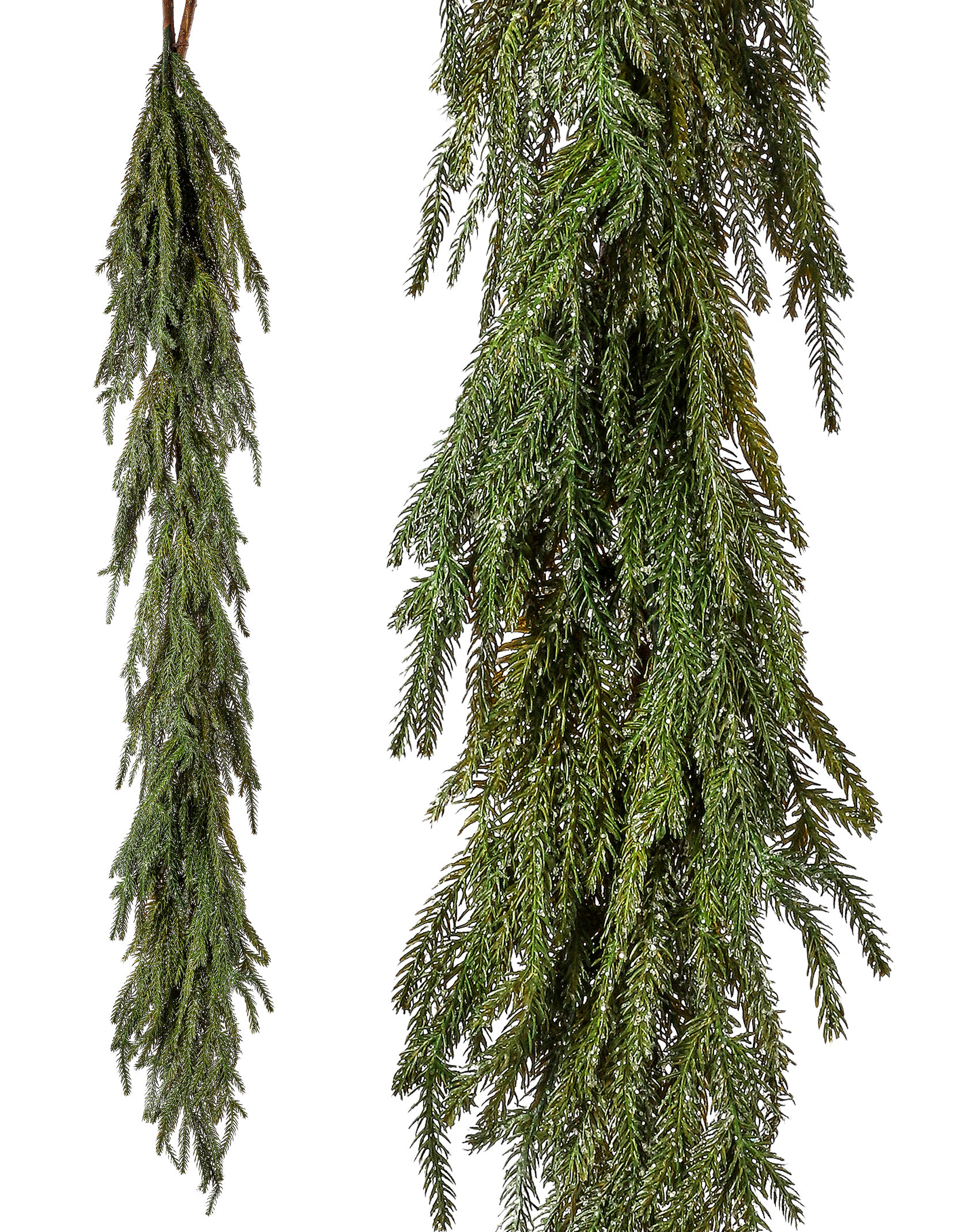 The Holiday Aisle® 48" Iced Garden Norfolk Pine Garland & Reviews ...