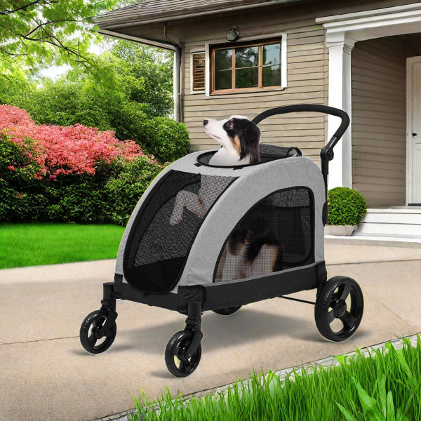 Dog Strollers You'll Love - Wayfair Canada