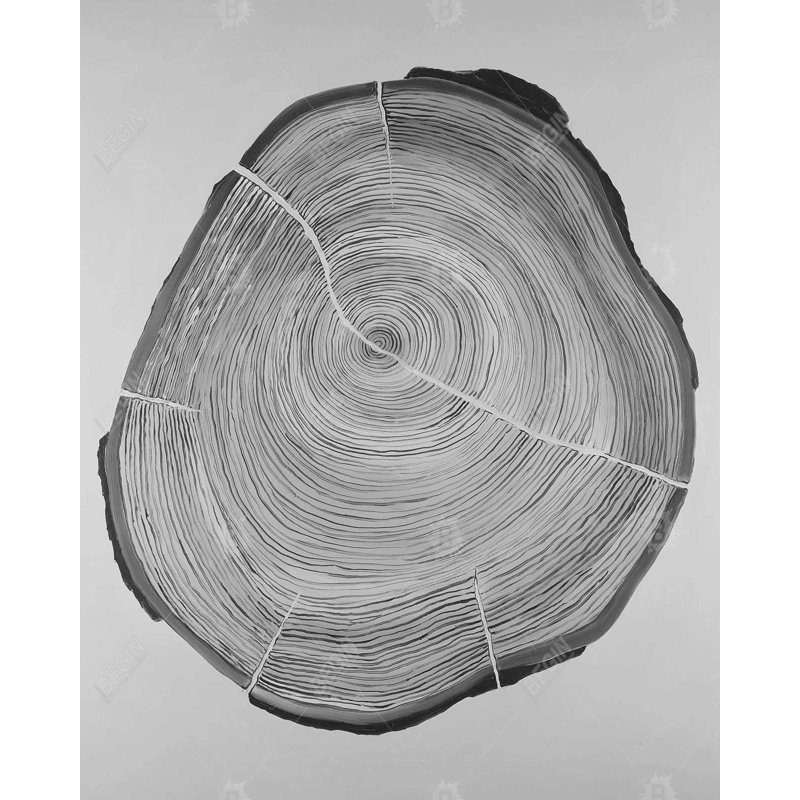 Begin Edition International Inc. Grayscale Oval Shaped Tree Slab Print ...