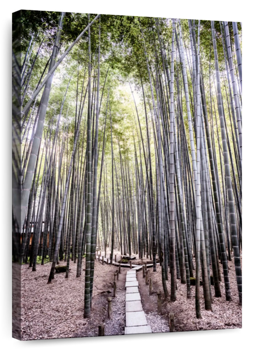 Lark Manor™ Harnek Bamboo Forest IV | Wayfair