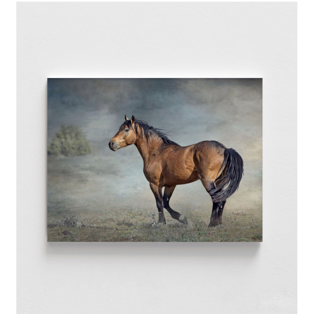 WeFrameArt Wicasa By Larry Mcferrin, Wild Horse Cowboy Office Decor ...
