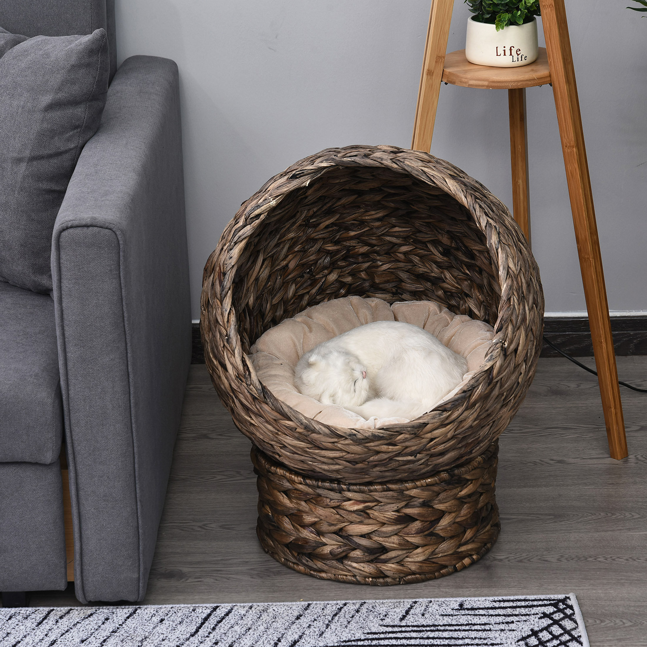 cat egg basket