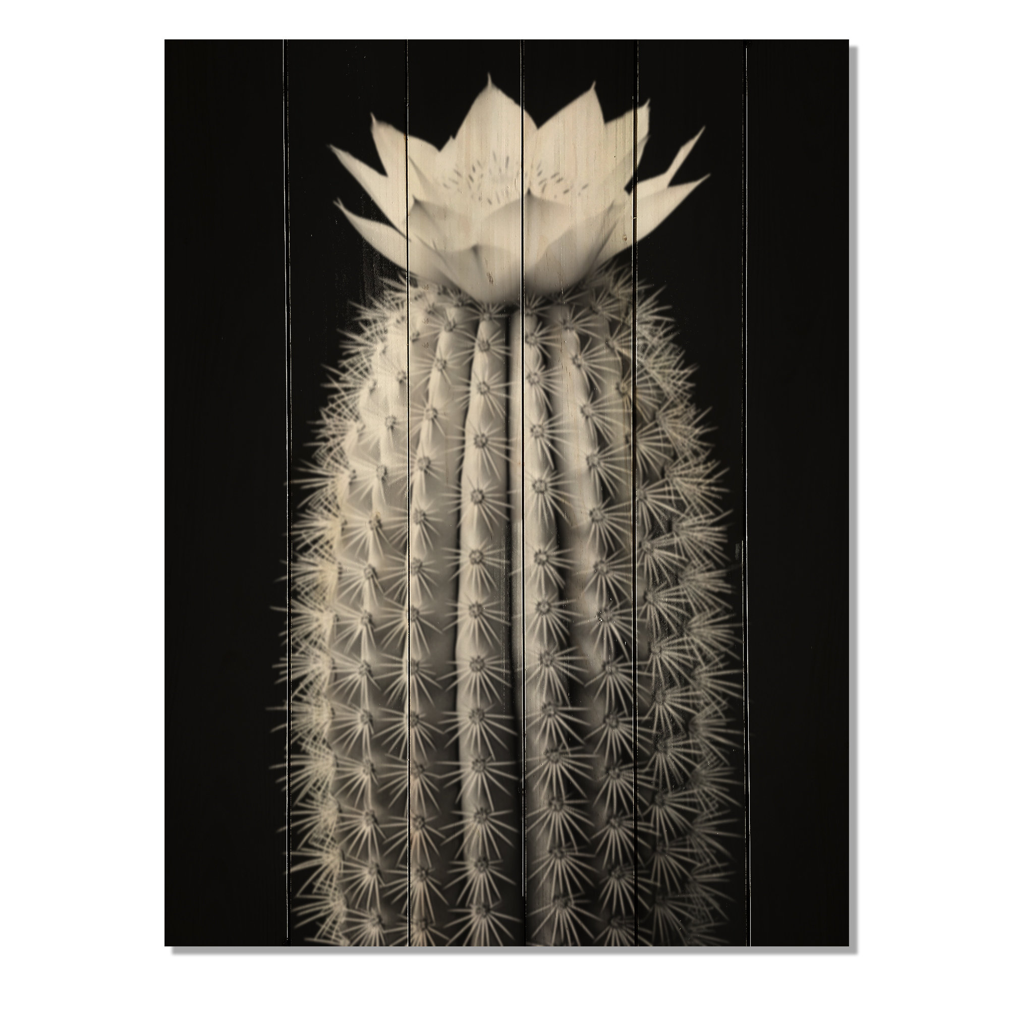 Dakota Fields Gray Cactus Elegance In Monochrome I On Wood Print | Wayfair
