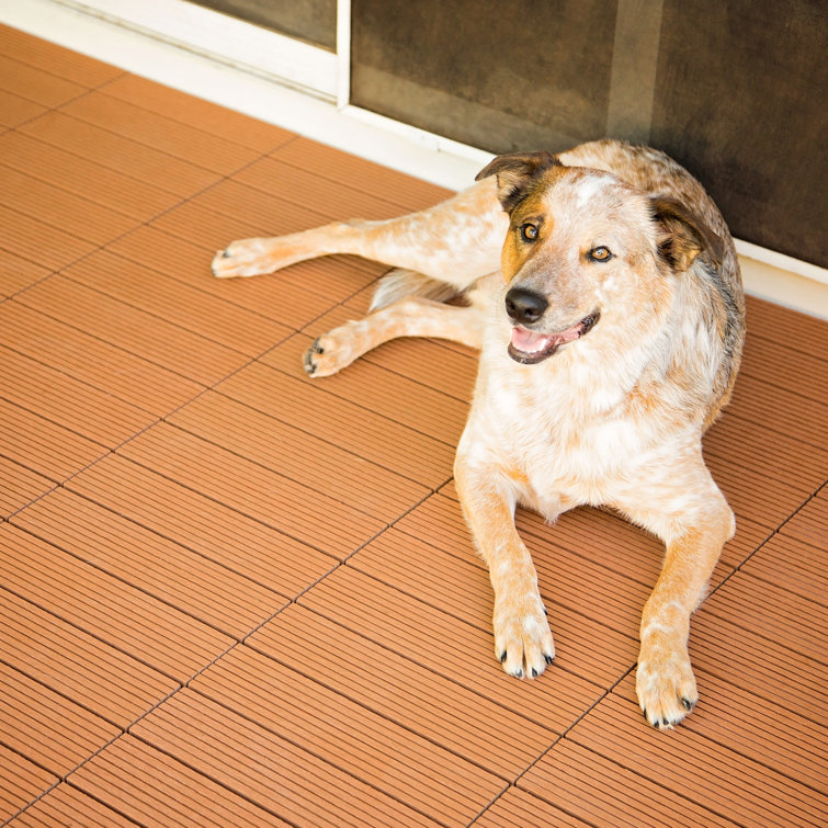 FlooringInc Helios Deck Tiles & Reviews | Wayfair