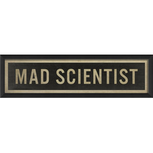 The Artwork Factory Sign Mad Scientist Framed Textual Art | Wayfair