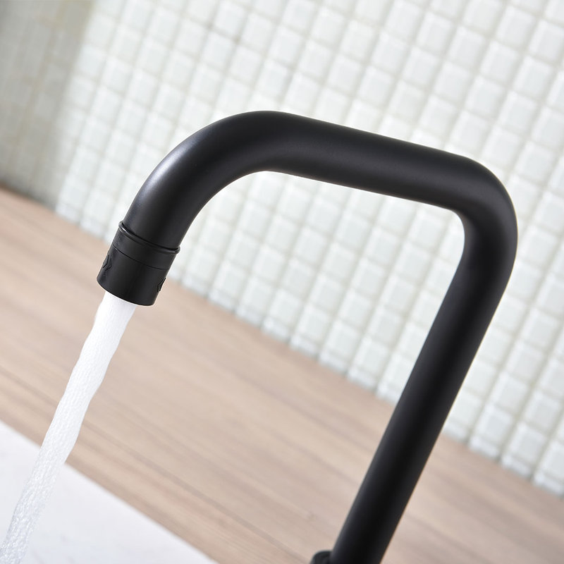 FLG Kitchen Faucet & Reviews | Wayfair