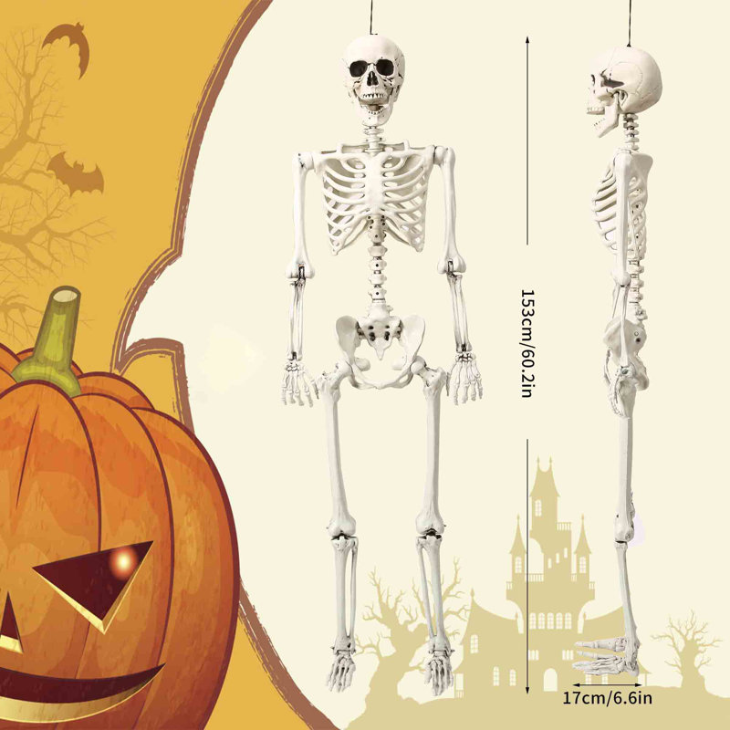 The Holiday Aisle® Halloween Skeleton | Wayfair