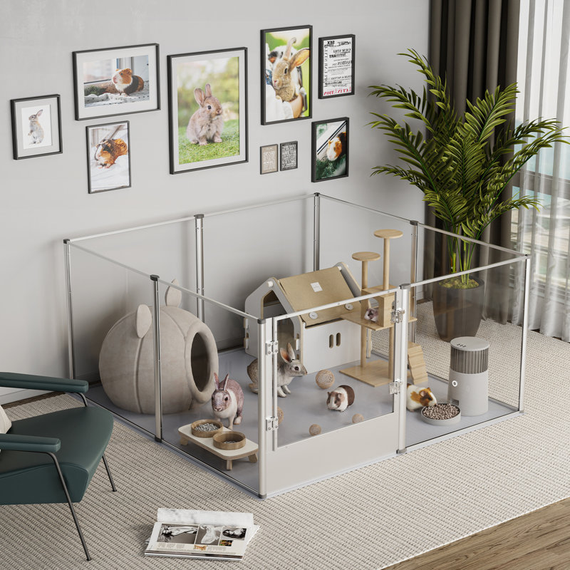 BingoPaw Acrylic Pet Pen & Reviews | Wayfair