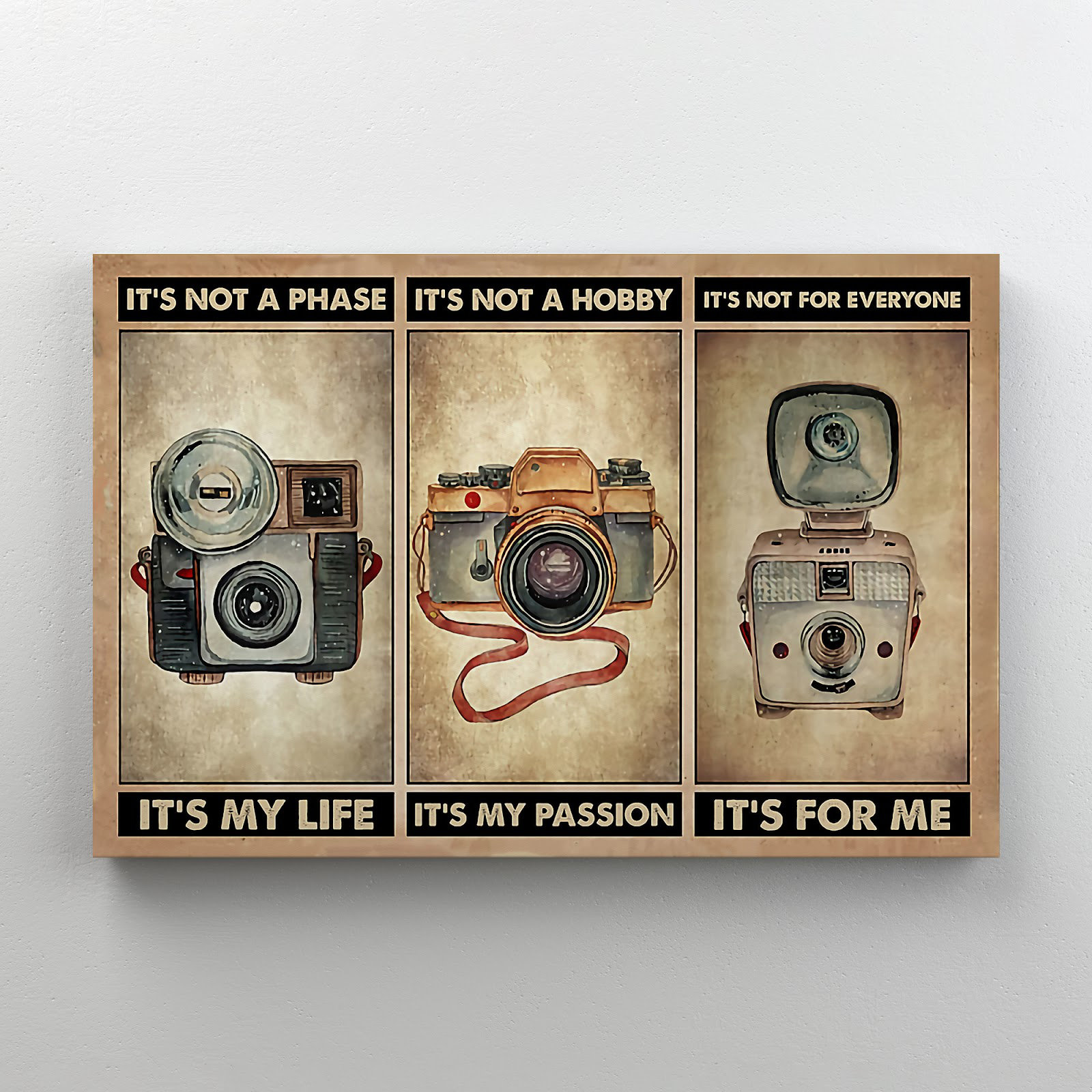 Trinx 3 Types of Camera - Wrapped Canvas Graphic Art | Wayfair