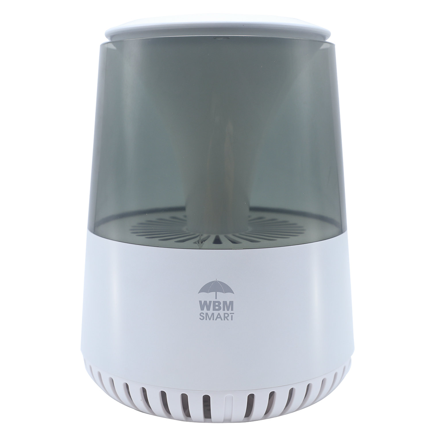 WBM Smart Bluetooth Air Purifier For Virus, Home Air Purifier Cleans ...