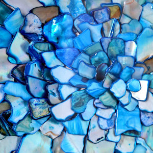 Dovecove Blue Seashell 2-Piece Coastal Framed Wall Decor Set & Reviews ...