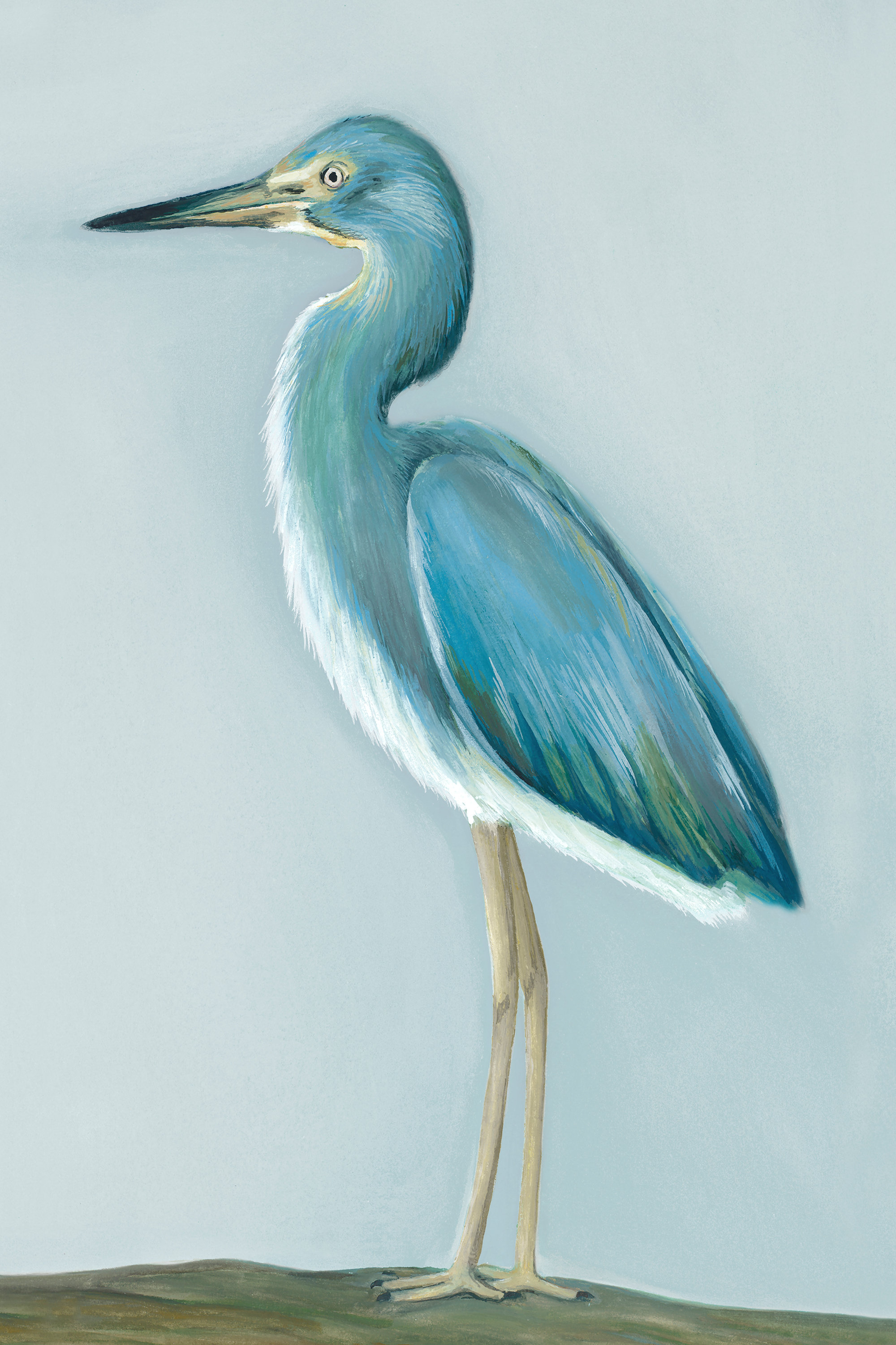Highland Dunes Tricolour Heron On Canvas by Courtney Lye Print | Wayfair