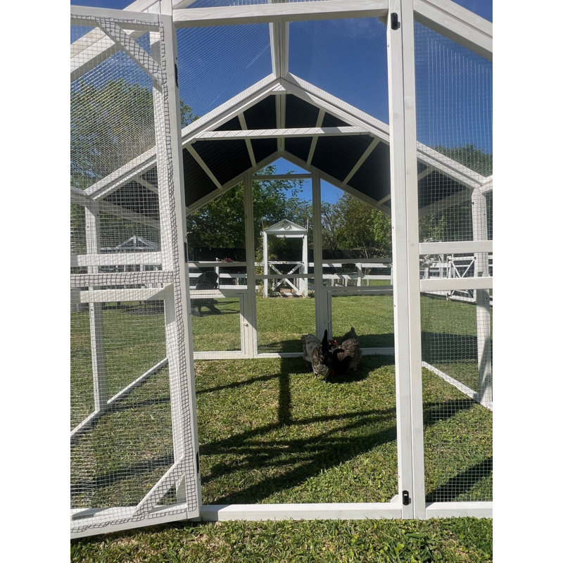 Zylina Modern Universal Poultry Pen - Medium | Wayfair