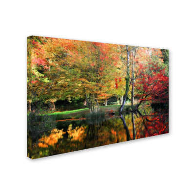 Charlton Home® I On Canvas by Philippe Sainte-Laudy Print & Reviews ...