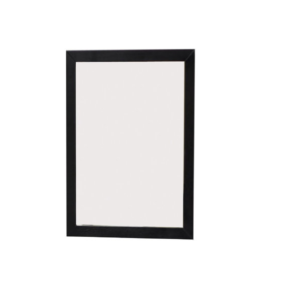 Bellaterra Home Rectangle Wall Mirror - Wayfair Canada