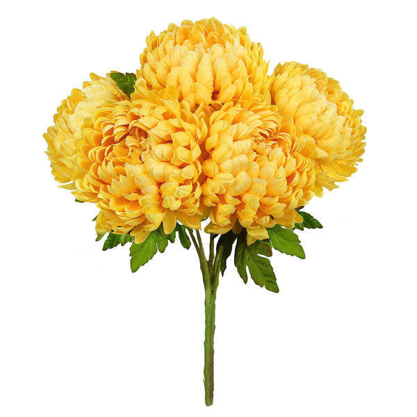 Primrue Mum Stems, Bushes, And Sprays Arrangement | Wayfair