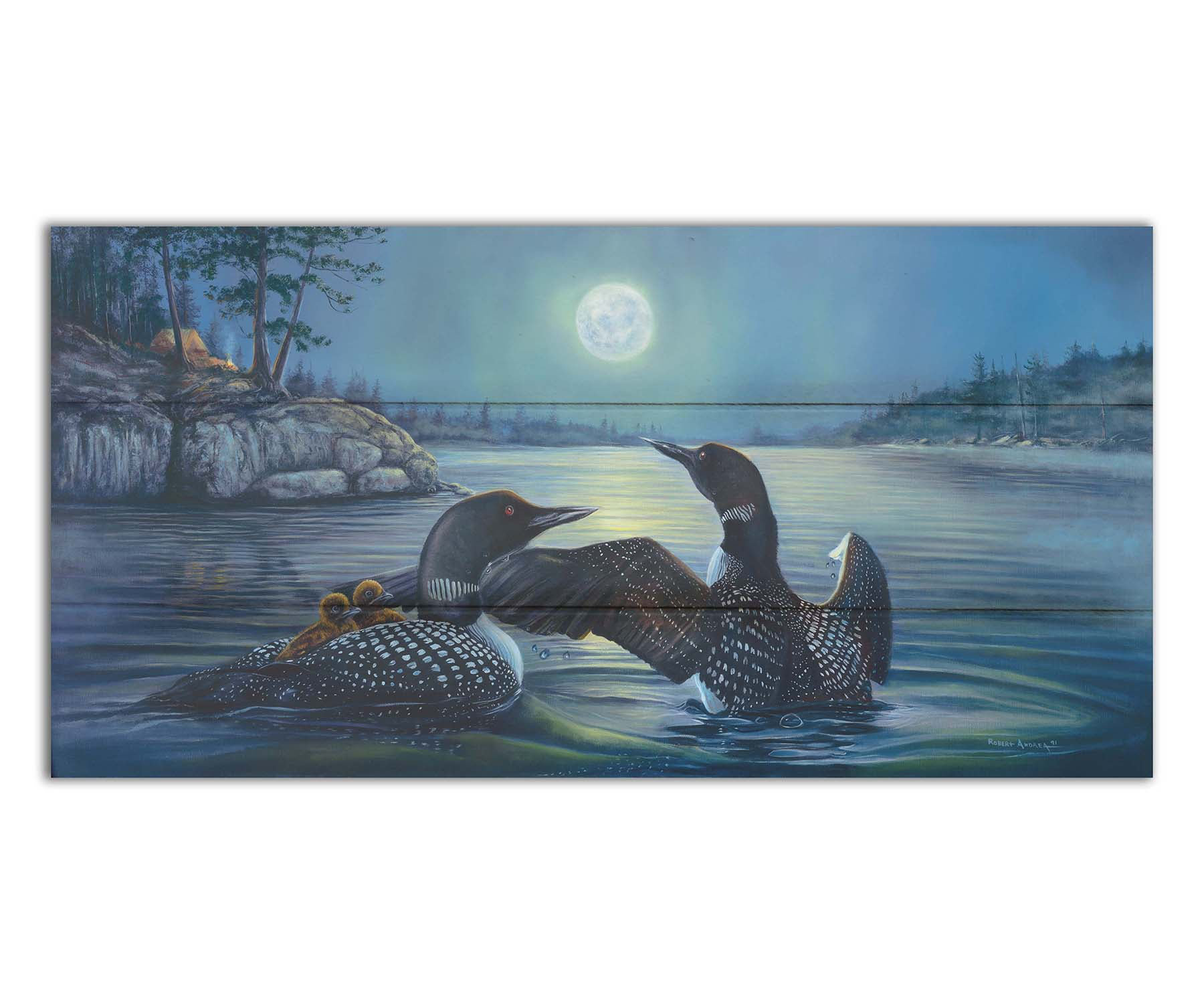 Dovecove Moonlight Serenade by Robert Andrea Print - Wayfair Canada