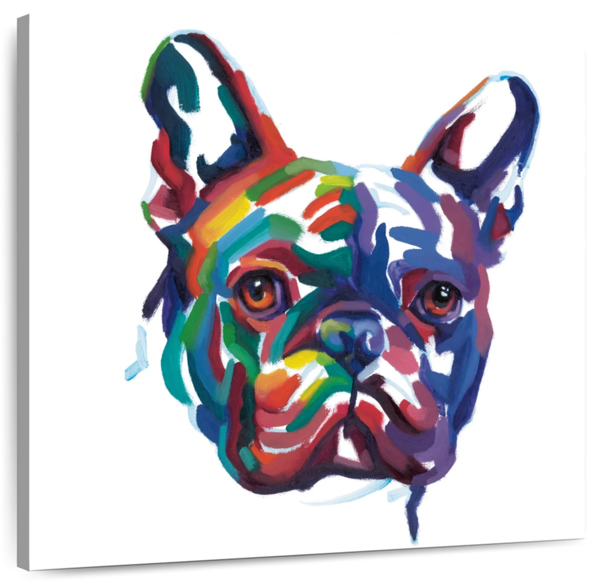 Elephant Stock Frenchie Colors | Wayfair