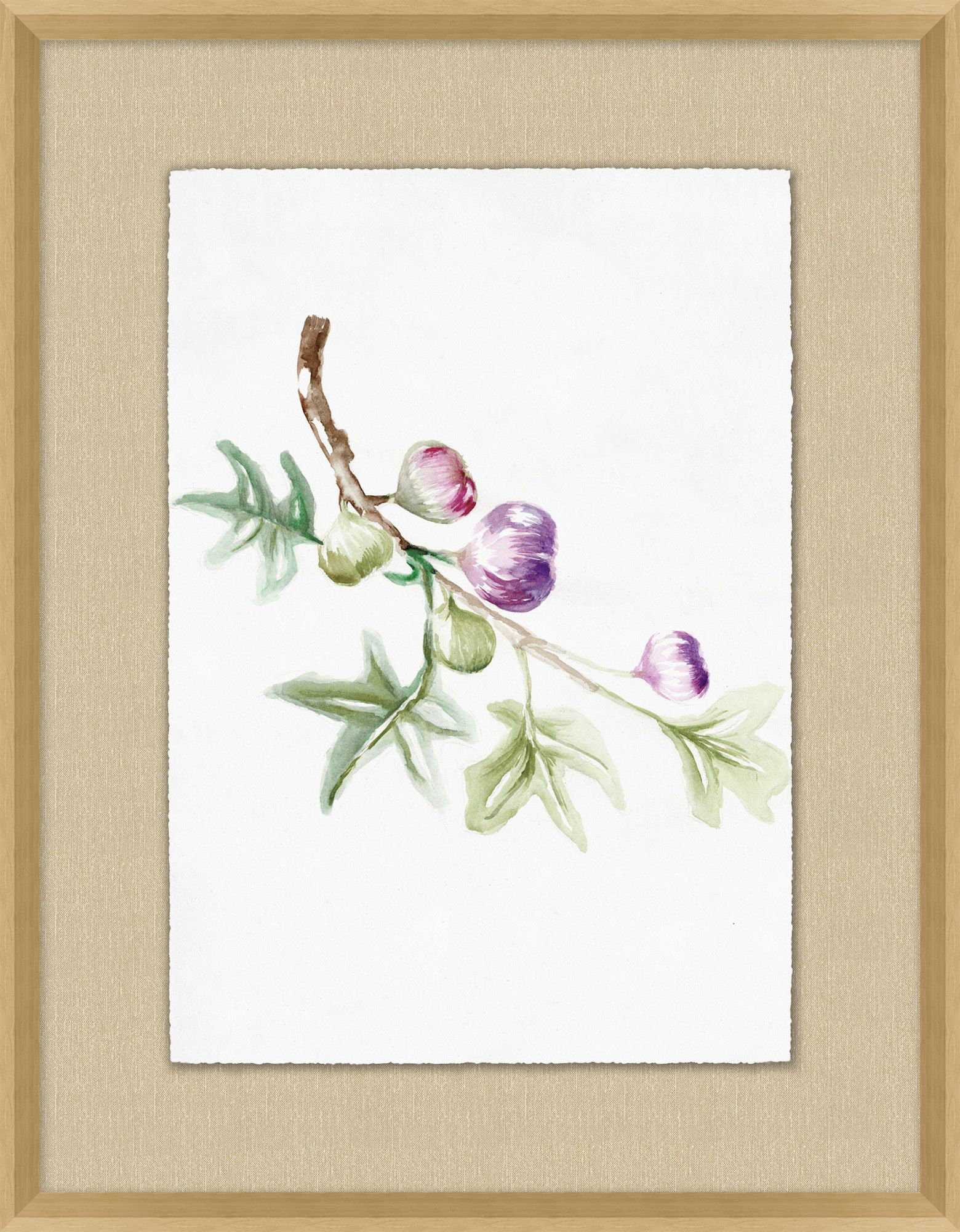 Wendover Art Group Fresh Picked Figs 2 by Nathan Turner - Single ...