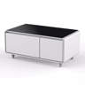 Orren Ellis Modern Smart Coffee Table With Built-In Fridge, Bluetooth ...