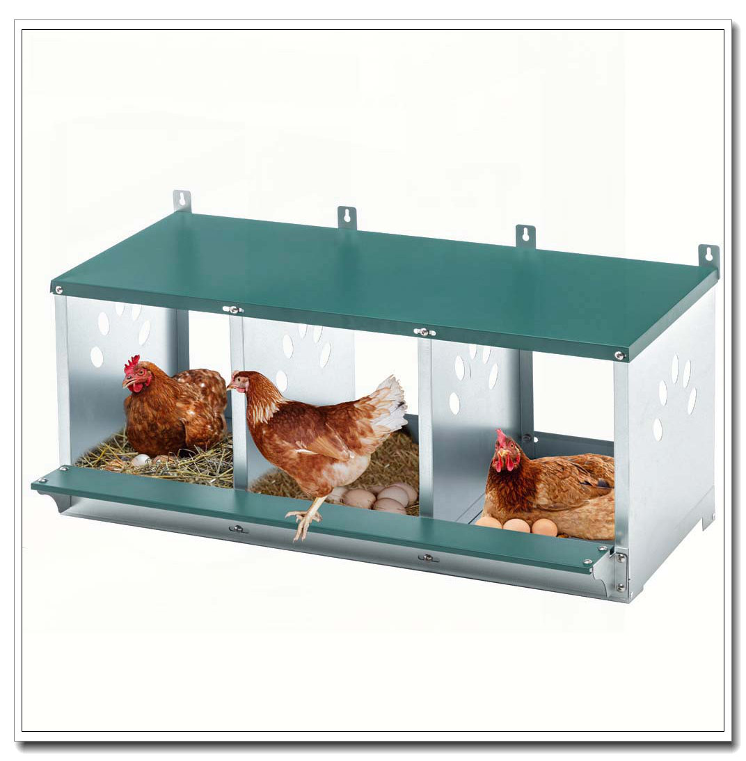 Tucker Murphy Pet™ Metal Nesting Boxes for Chicken,3 Compartment ...