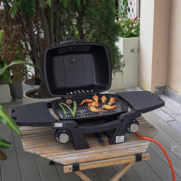Symple Stuff Portable Gas Grill Propane Grill | Wayfair.co.uk