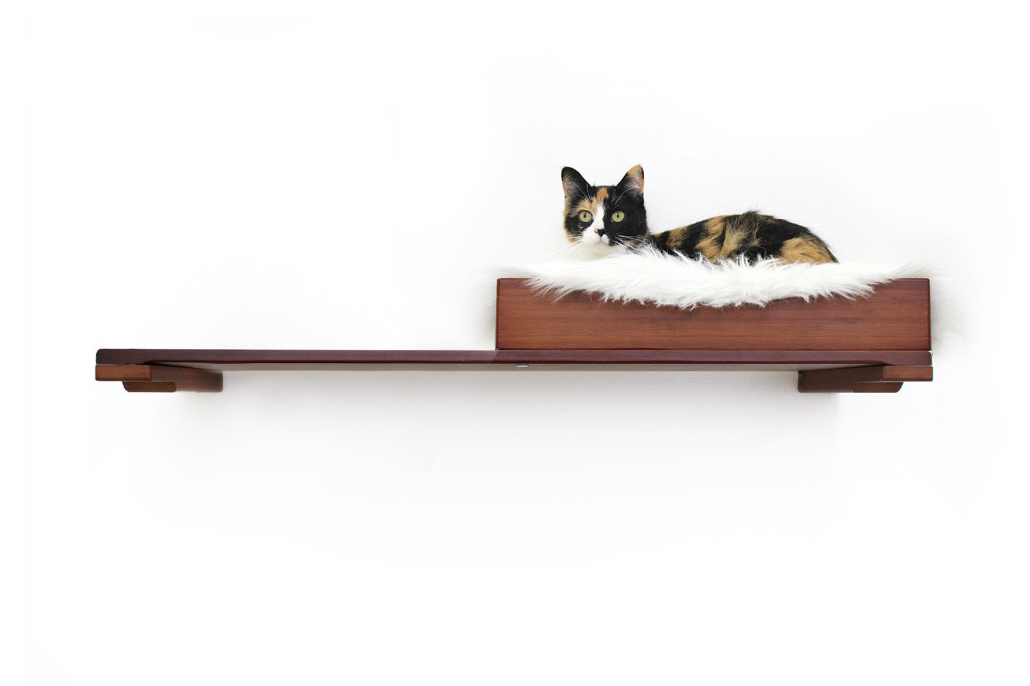 CatastrophiCreations 5" Designer Rectangle Cat Bed Cat Perch | Wayfair