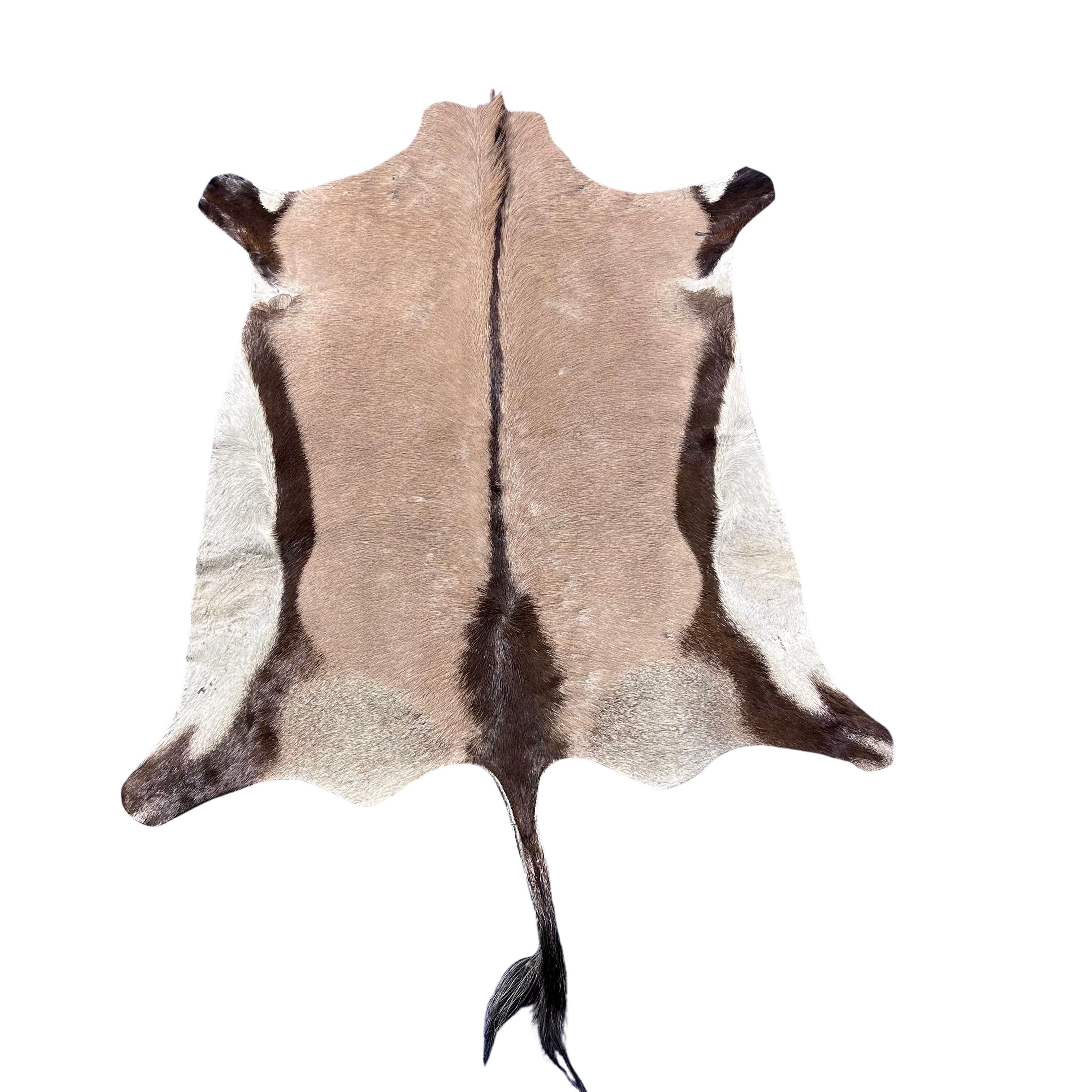 Foundry Select Real Gemsbok Skin Rug/ Oryx Skin Rug | Wayfair