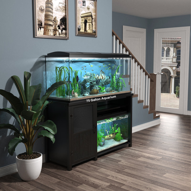Tucker Murphy Pet™ Darnetta Rectangle Aquarium Stand & Reviews ...