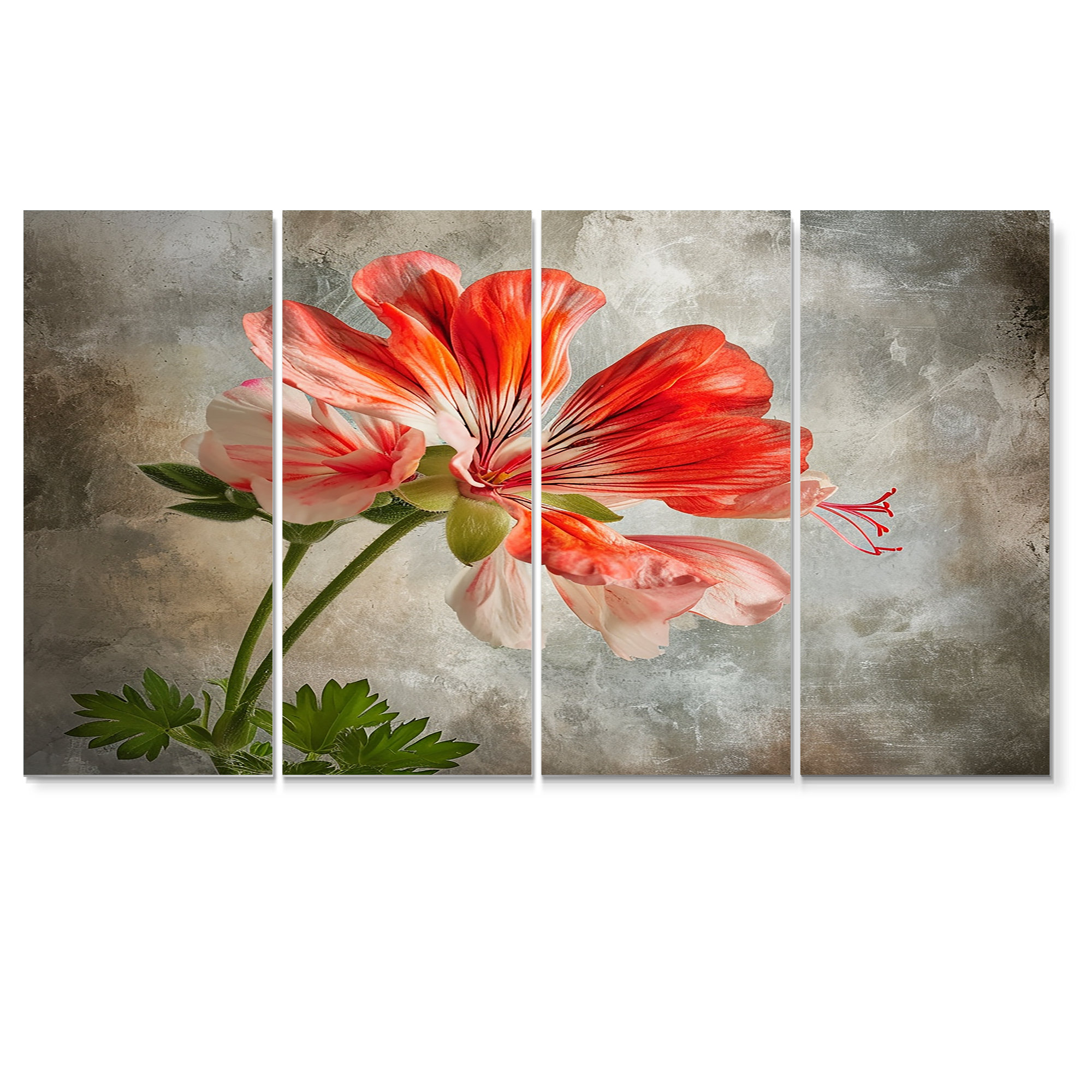 Winston Porter Close Up Of Red Geranium - Geraniums Wall Art Decor 4 ...